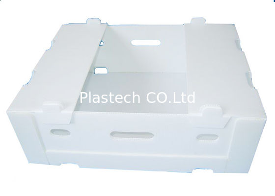 Recycling Waste Bin Foldable PP Corrugated Box