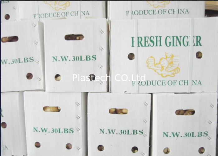 30lbs Fresh Ginger PP Fluted Corrugated Plastic Box